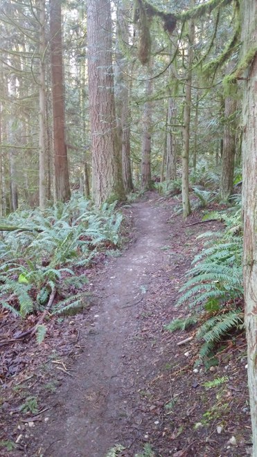 Databar Events - Little Mountain Trail Mixer - 10K / 5K / BBQ