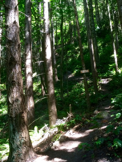 Databar Events - Little Mountain Trail Mixer - 10K / 5K / BBQ